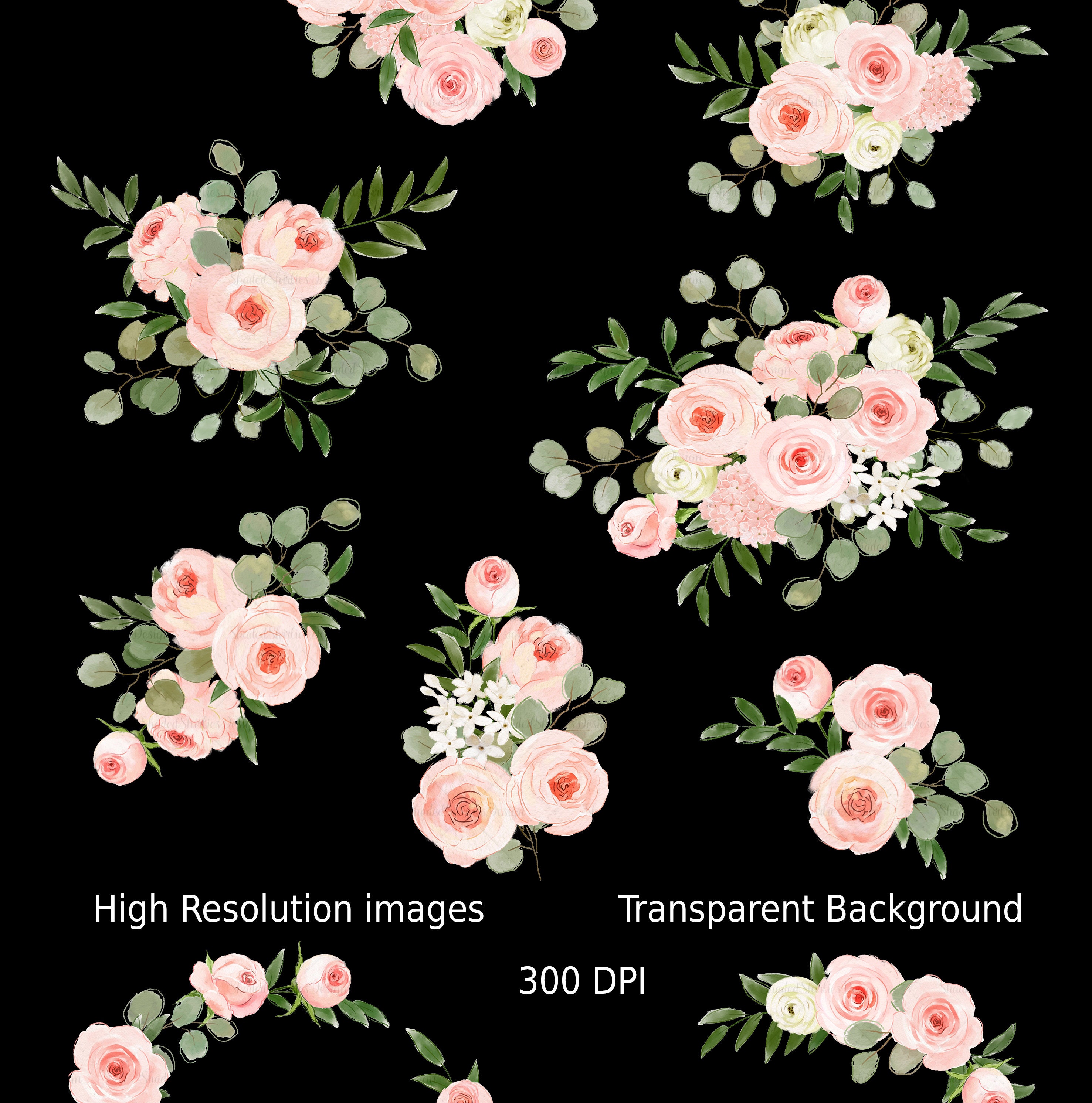 Watercolor Blush Pink Roses, Blush Florals and Greenery, Wedding ...