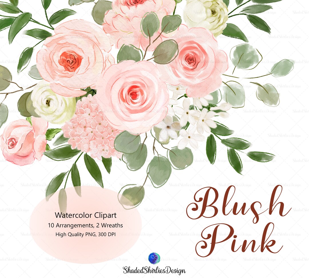 Watercolor Blush Pink Roses Blush Florals and Greenery - Etsy