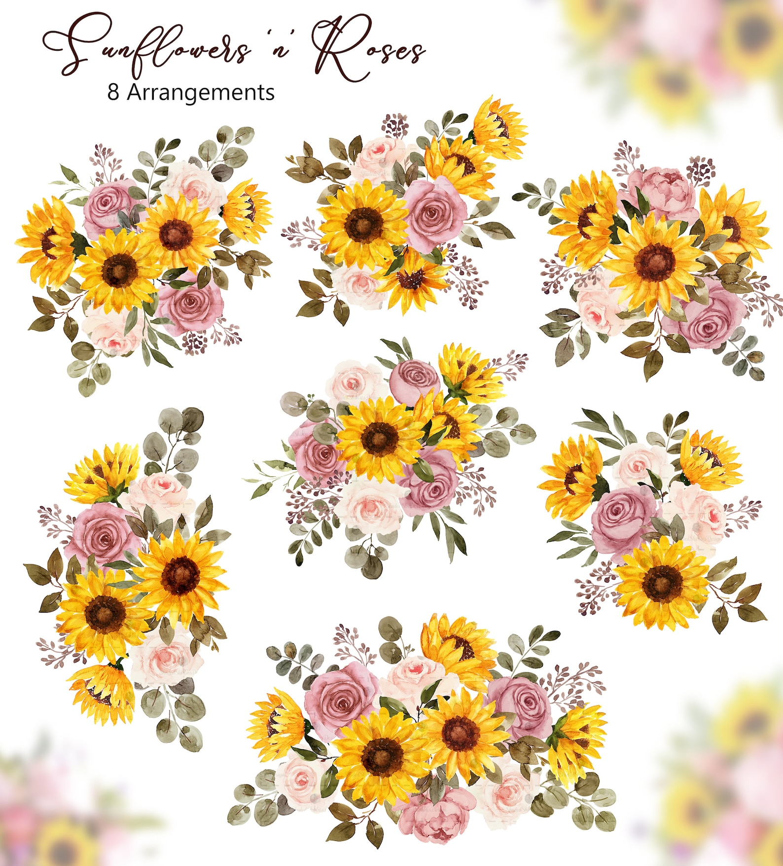 Watercolor Sunflower and Roses Clipart Blush Roses Dusty - Etsy
