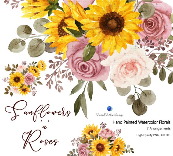Watercolor Sunflower and Roses Clipart Blush Roses Dusty - Etsy
