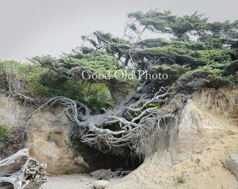 Thought Provoking Art - Etsy