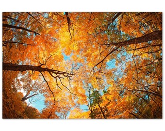 Autumn Magical Forest Large Wall Mural Self-adhesive Vinyl - Etsy