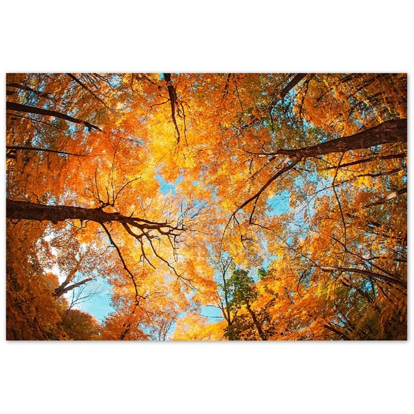 Foliage Wall Art - Etsy