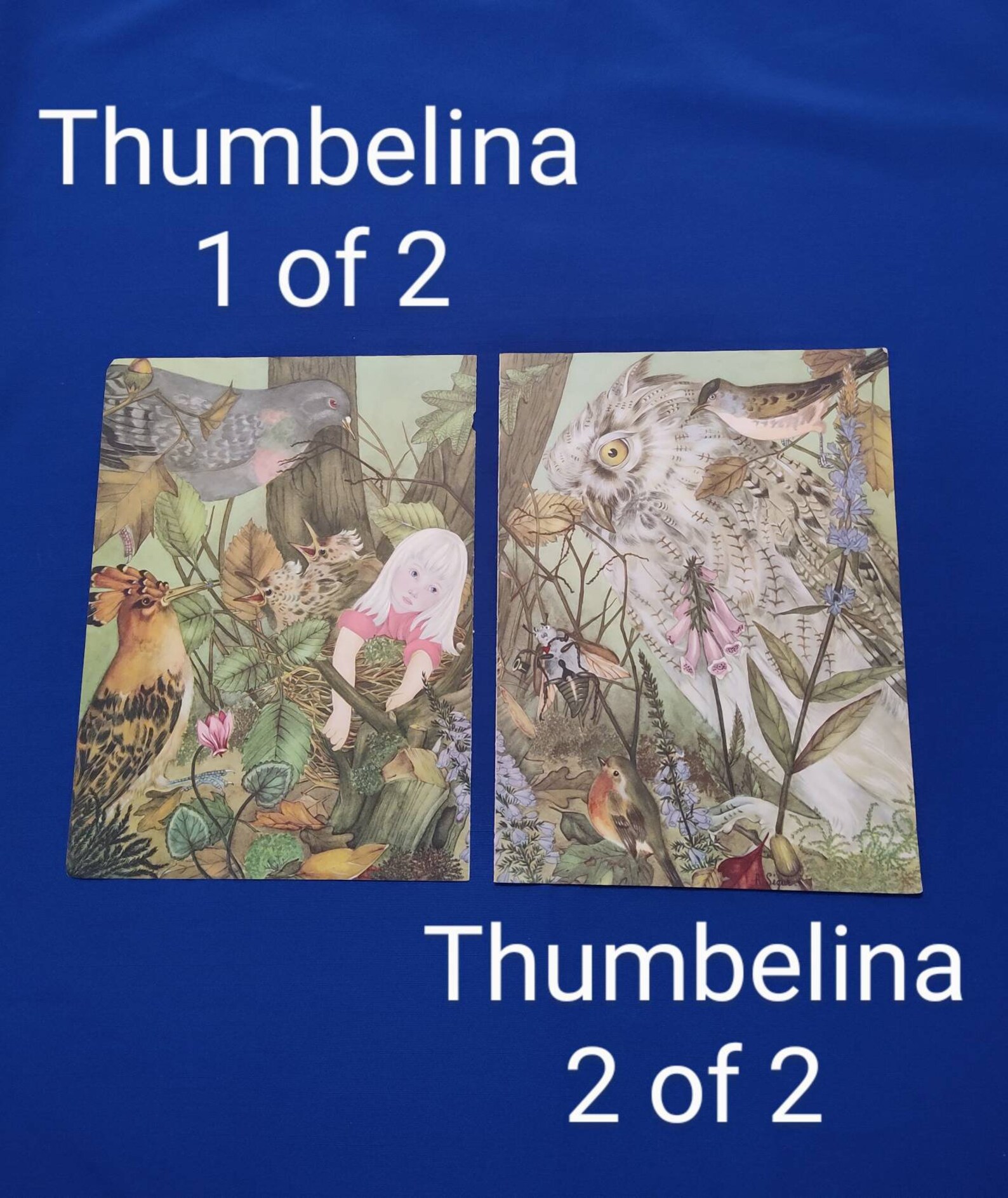 Adrienne Segur the FAIRY TALE BOOK Illustrations ~ 1960's ~ Matted ...