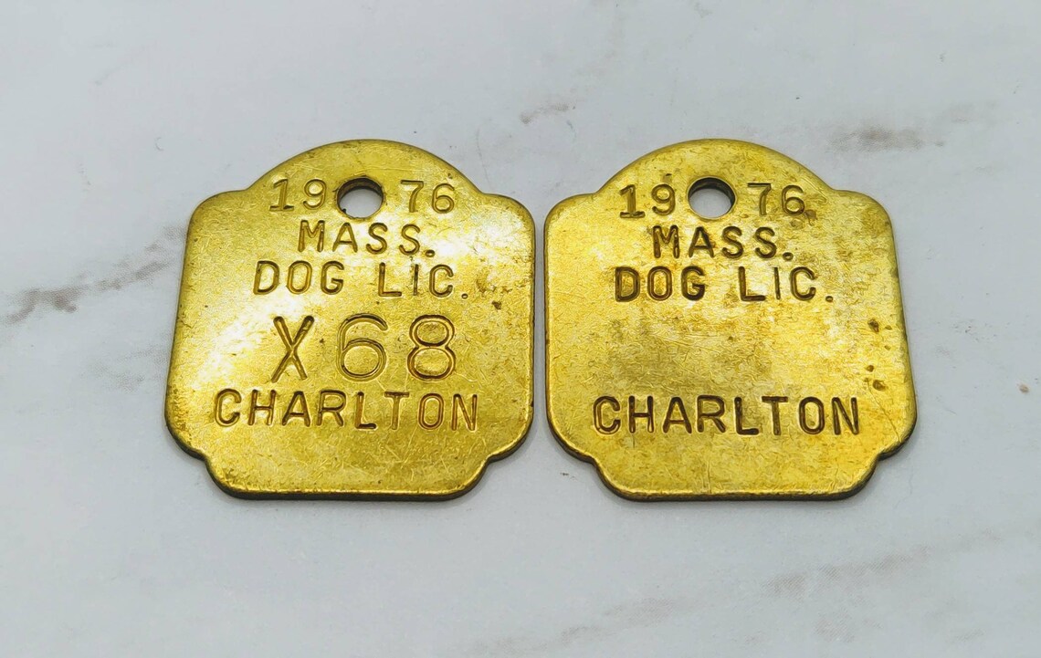 1976 CHARLTON DOG TAGS brass 10 50pcs Steampunk - Etsy
