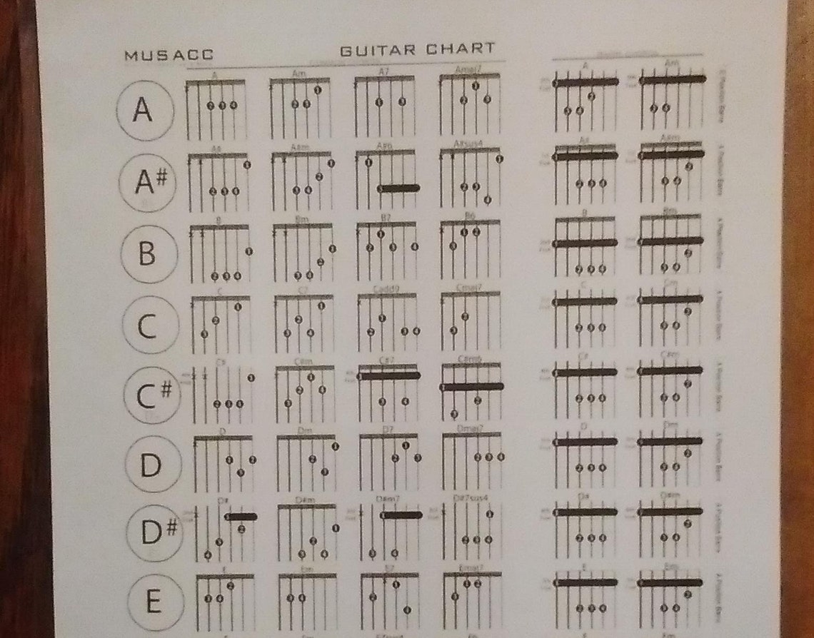 Common Chords and Barre Chords for Guitar Chart - Laminated - Etsy