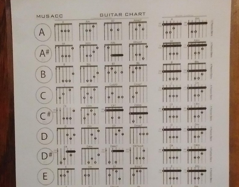 Common Chords and Barre Chords for Guitar Chart - Laminated - Etsy