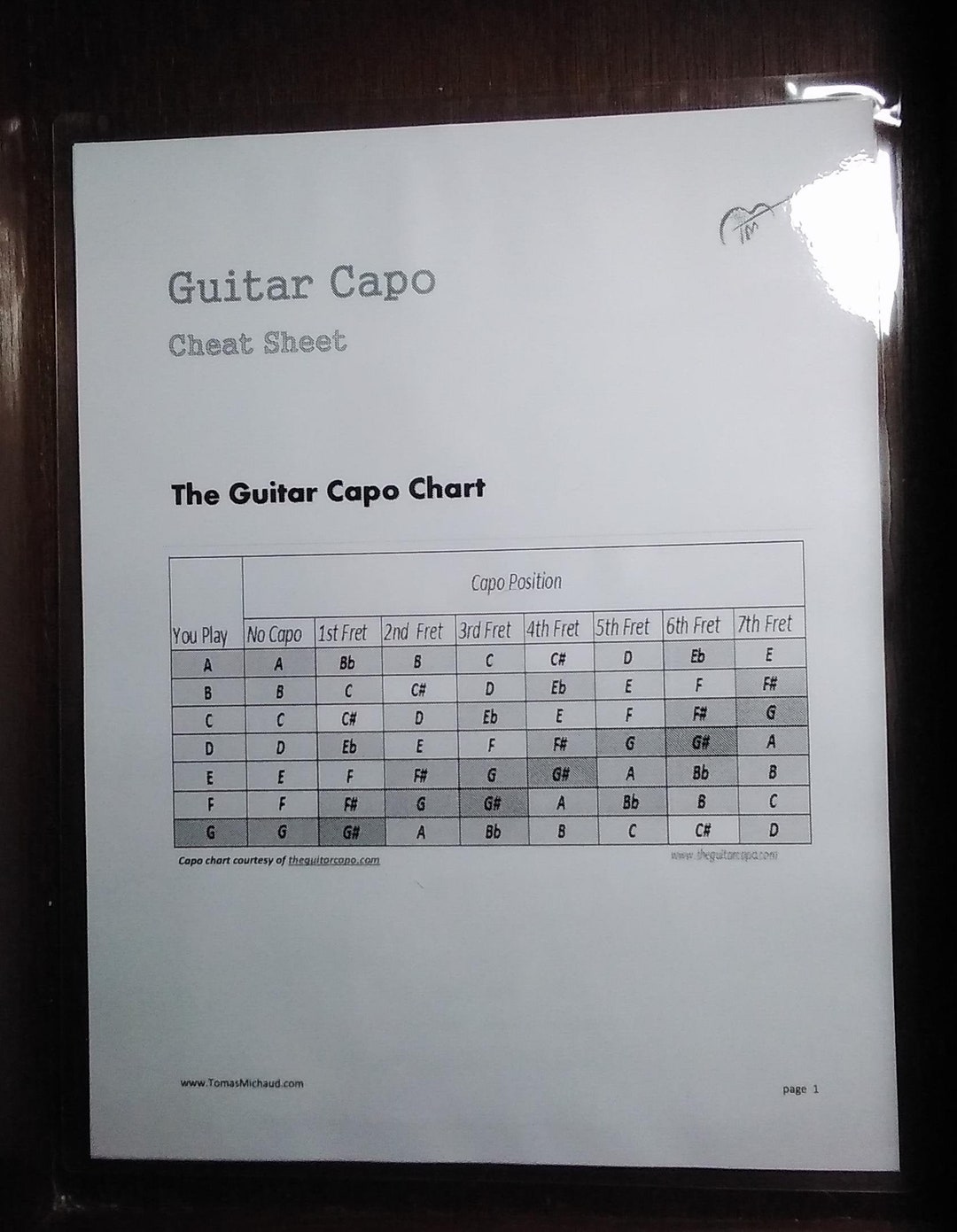 Guitar Capo Chart & Tips for Using a Guitar Capo - Double Sided ...