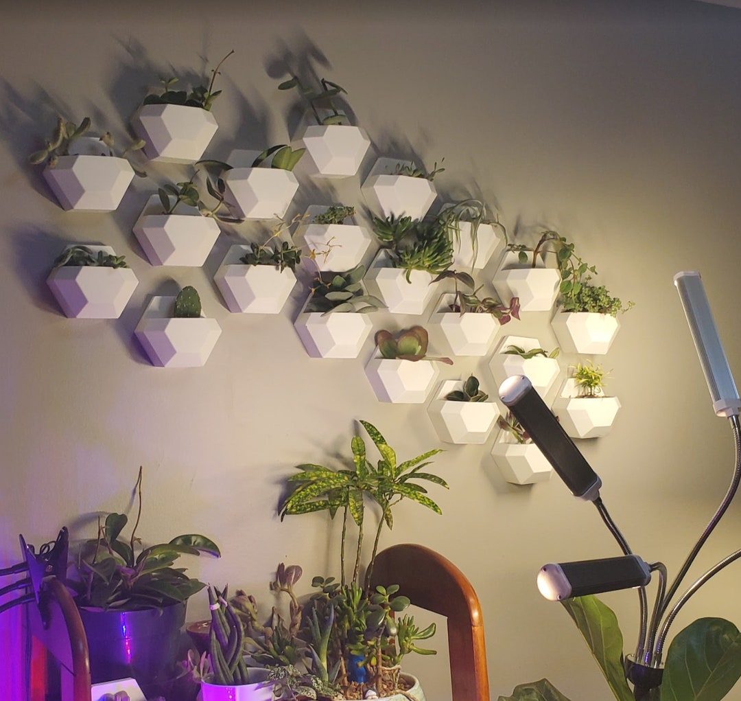 Geometric Wall Planter, 3D Printed, Geometric Planter, 3D Printed ...