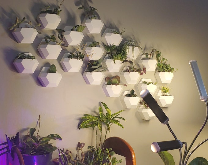 Geometric Wall Planter, 3D Printed, Geometric Planter, 3D Printed ...
