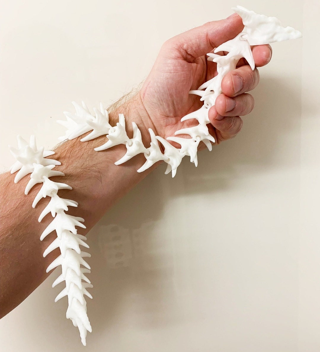 Skeleton Bones, Dragon, Fidget Toy, Articulated Fidget Toy, Flexible ...