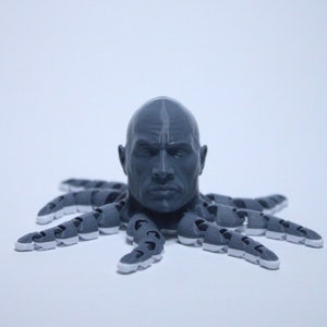 The Rocktopus, 3D Printed, Fidget Toy, WWE, Rocktopus Fidget, Octopus ...
