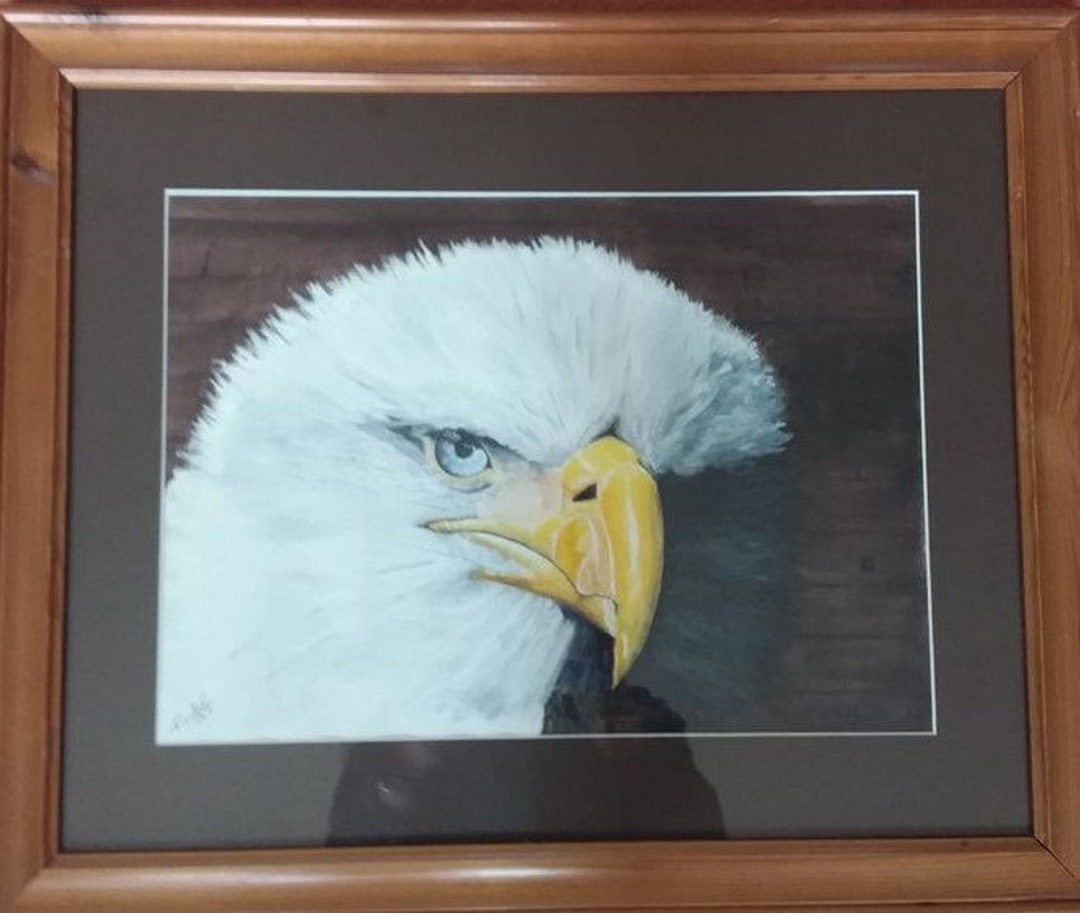 Bald Eagle - Lady Baltimore - Original Ink and Watercolour. - Etsy UK
