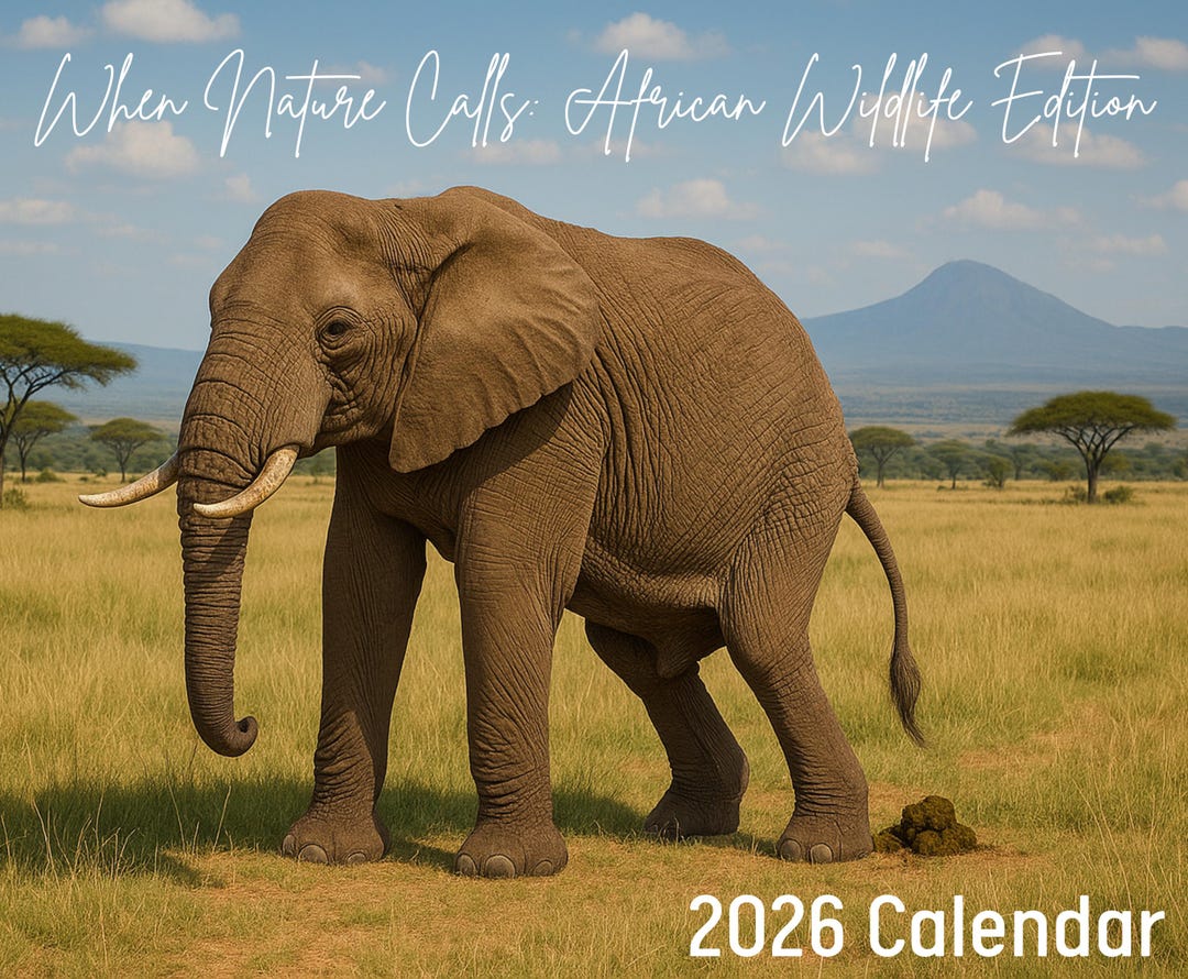 African Wildlife Pooping Calendar, Funny Wildlife Calendar, Animal ...