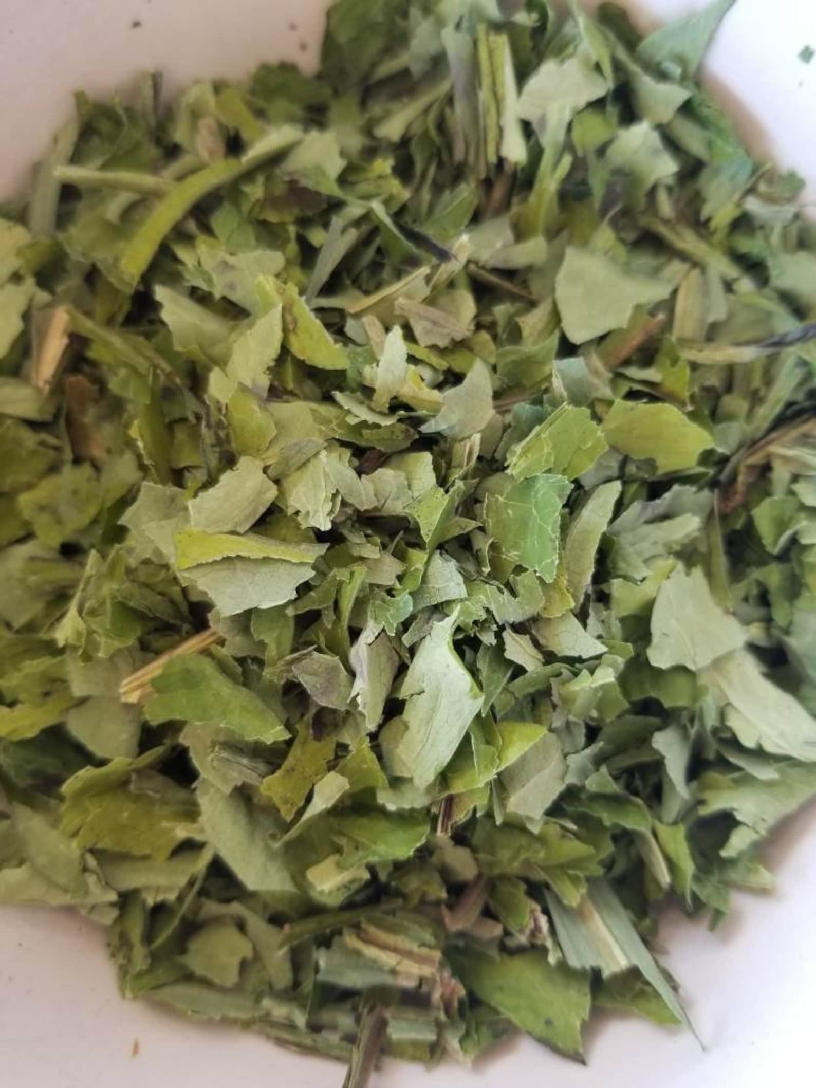Dried Wild Lettuce Leaf Tea Wild Harvested/Organic | Etsy