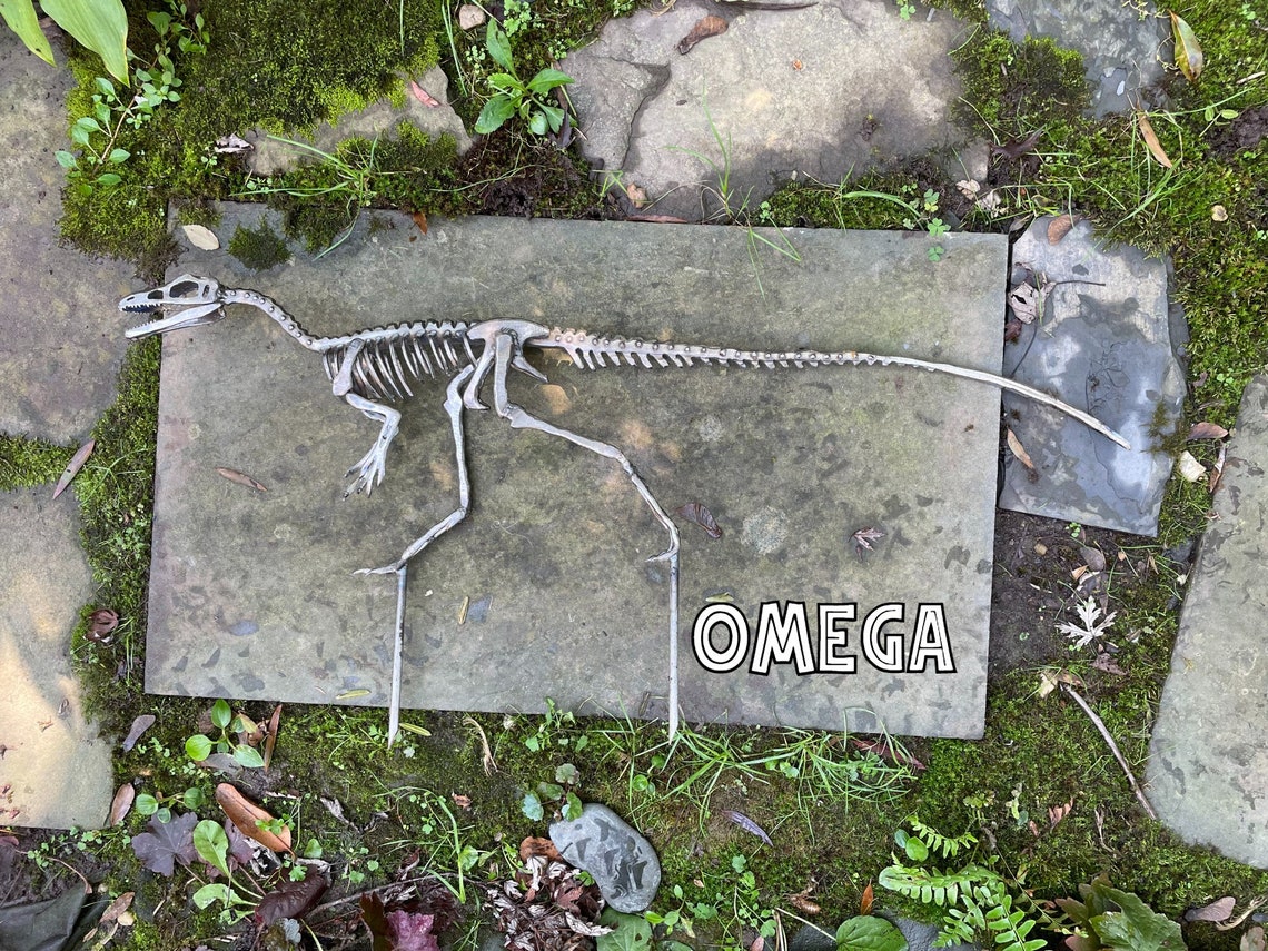 Life Size Steel Compsognathus Skeletons - Etsy