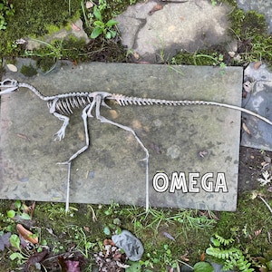 Life Size Steel Compsognathus Skeletons - Etsy