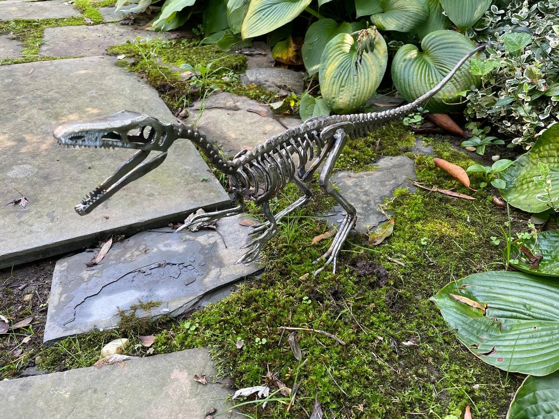 Life Size Steel Compsognathus Skeletons - Etsy