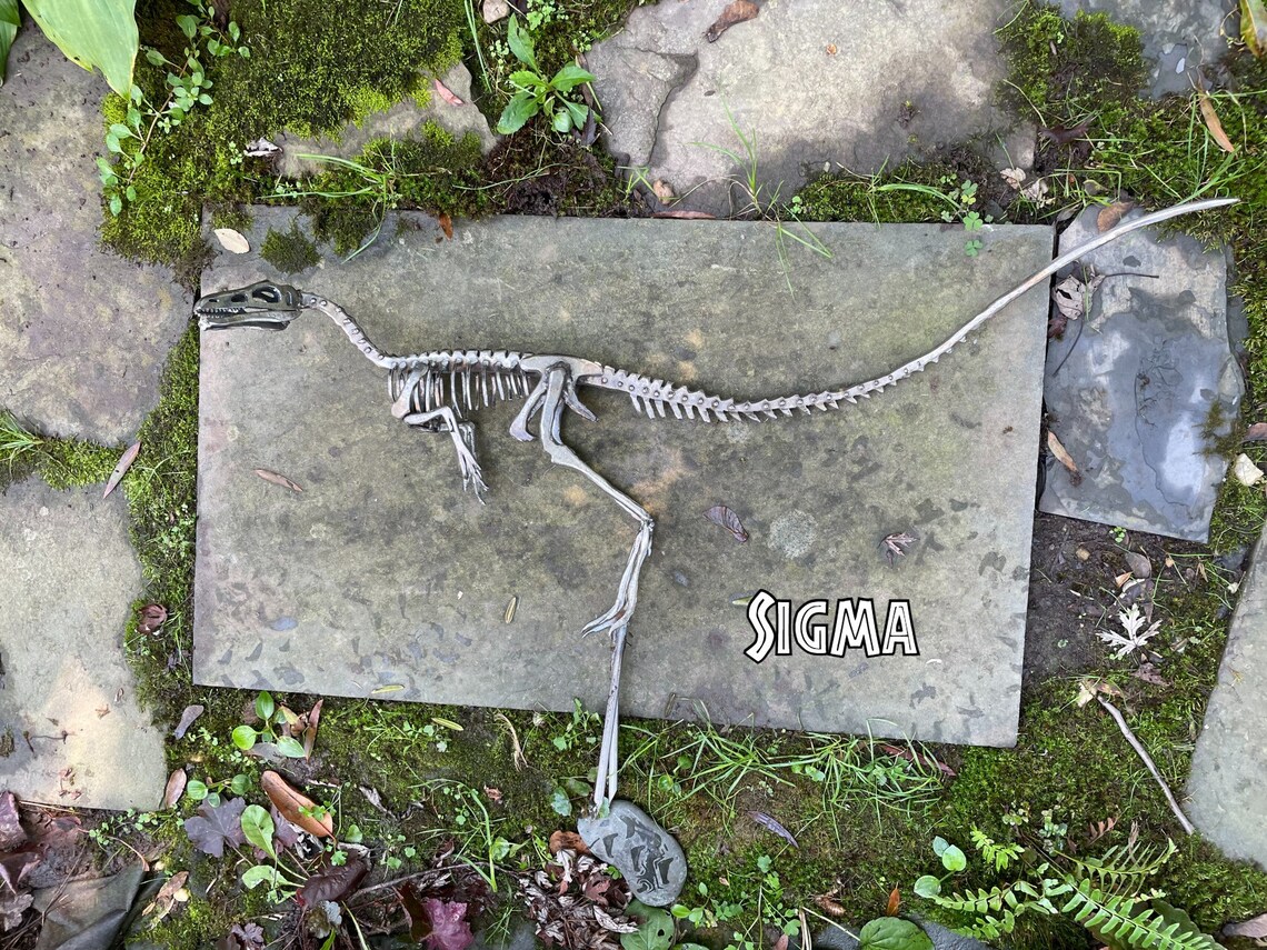 Life Size Steel Compsognathus Skeletons - Etsy