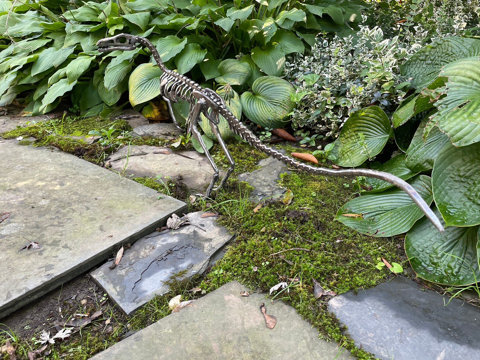 Life Size Steel Compsognathus Skeletons - Etsy