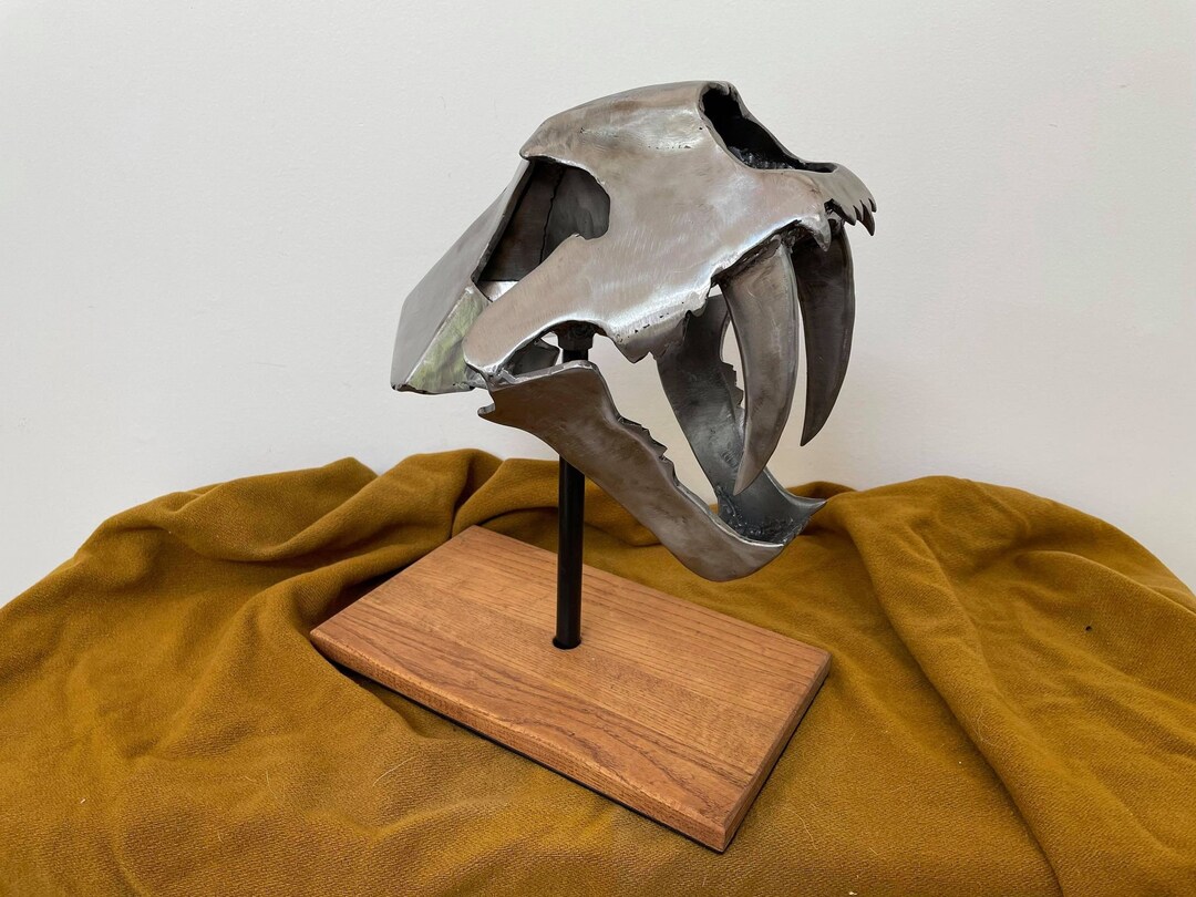 Steel Saber Tooth Skull - Etsy