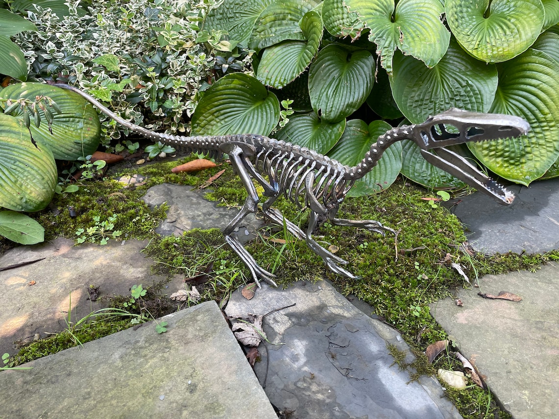 Life Size Steel Compsognathus Skeletons - Etsy