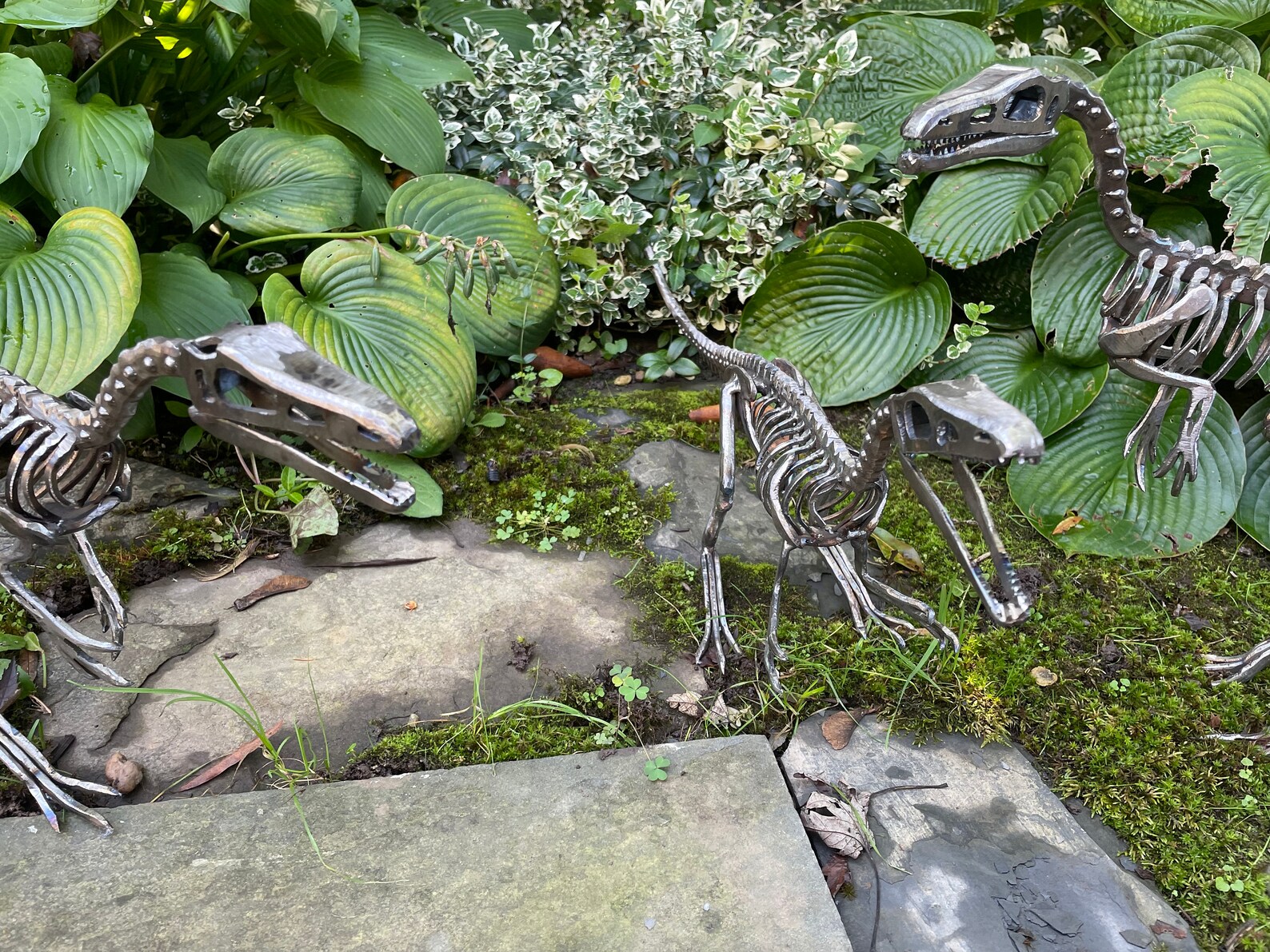 Life Size Steel Compsognathus Skeletons - Etsy