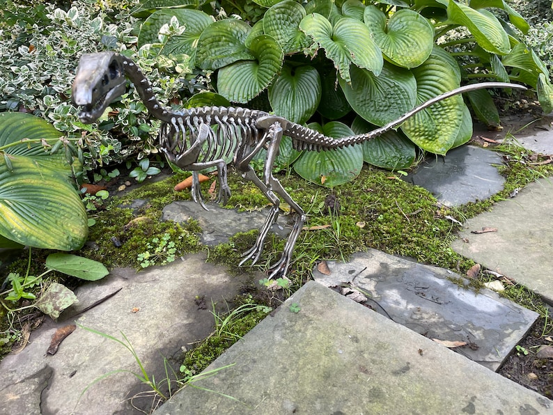 Life Size Steel Compsognathus Skeletons - Etsy