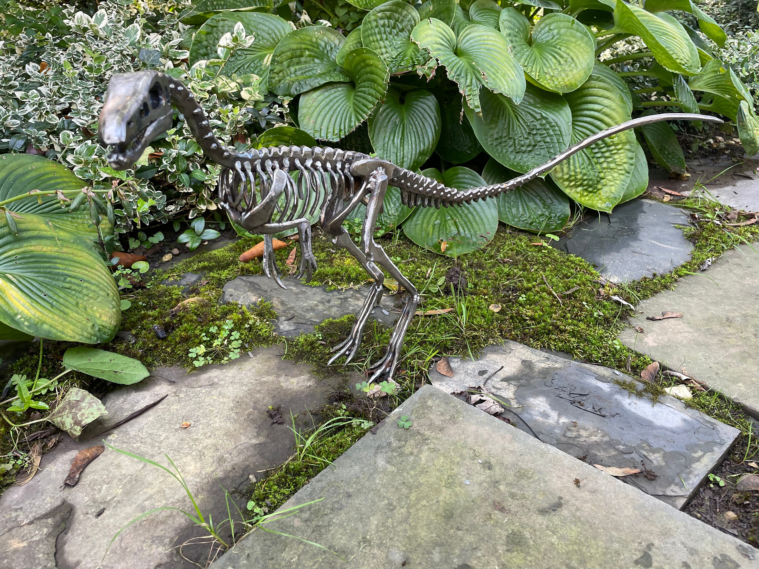 Life Size Steel Compsognathus Skeletons - Etsy