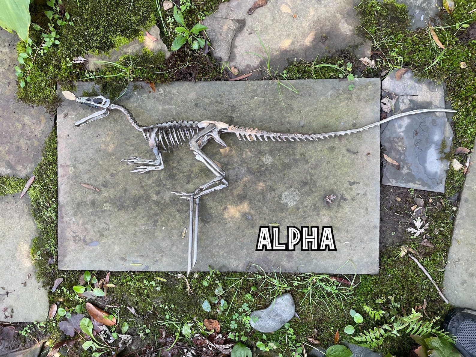 Life Size Steel Compsognathus Skeletons - Etsy