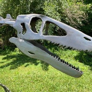 Life Sized Deinonychus Steel Skeleton - Etsy