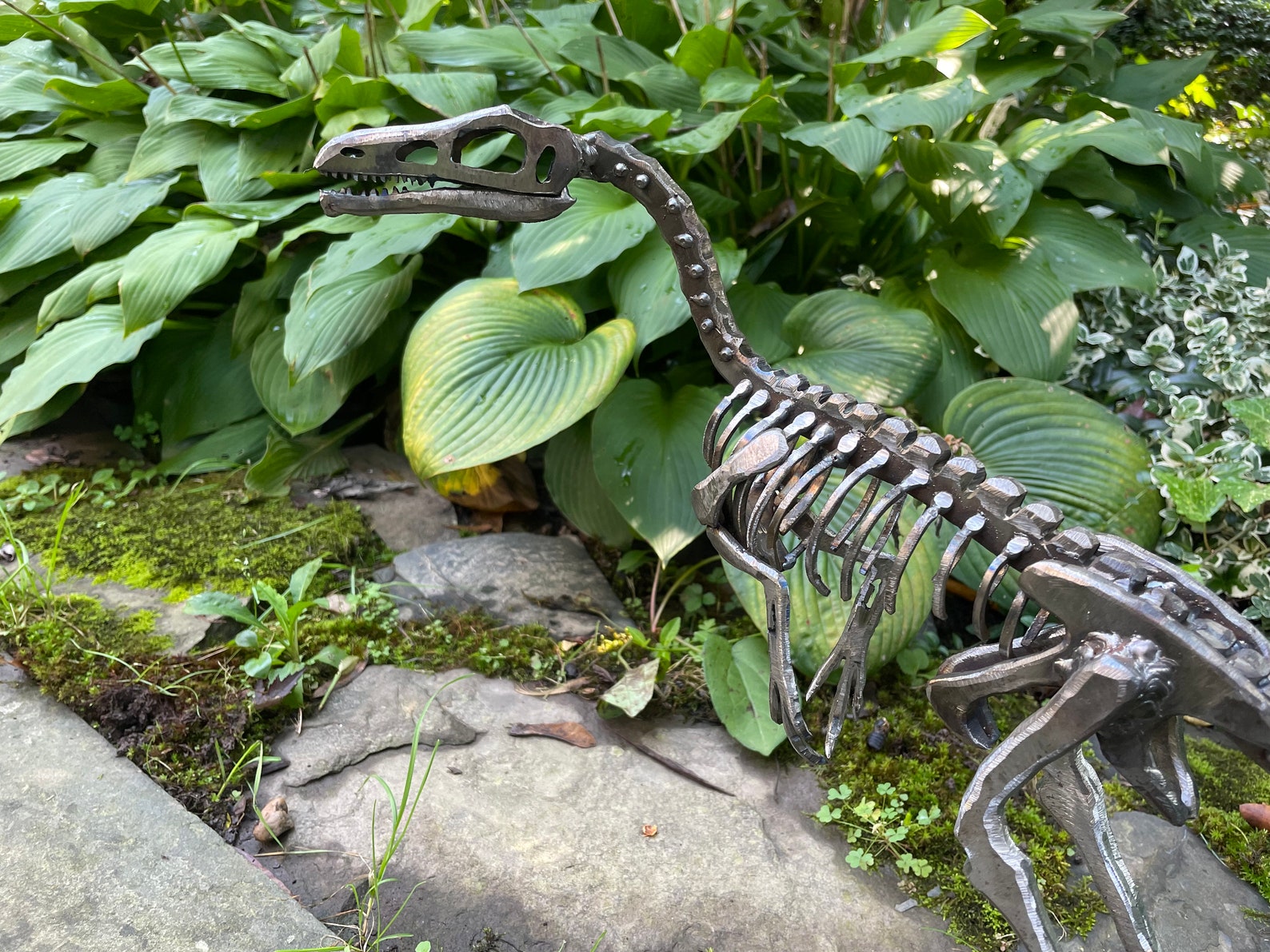 Life Size Steel Compsognathus Skeletons - Etsy