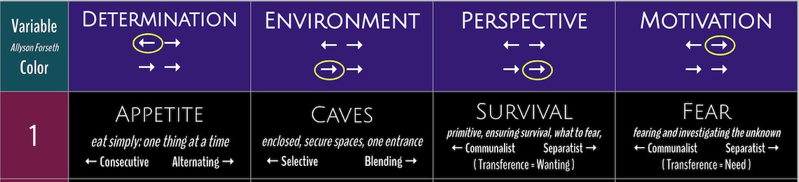 Human Design Quick Guide to the 4 Variables (transformations) - Etsy Canada