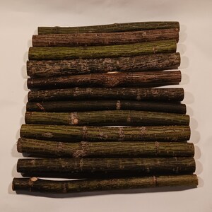 Striped Maple Logs. 12 Pieces of Natural Tree Branches With Bark for ...