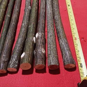 Striped Maple Wooden Poles. 12 Pieces of Natural Tree Branches With ...