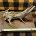 The Amazing Alien Cedar Driftwood Roots, Unfinished Wood Weathered ...