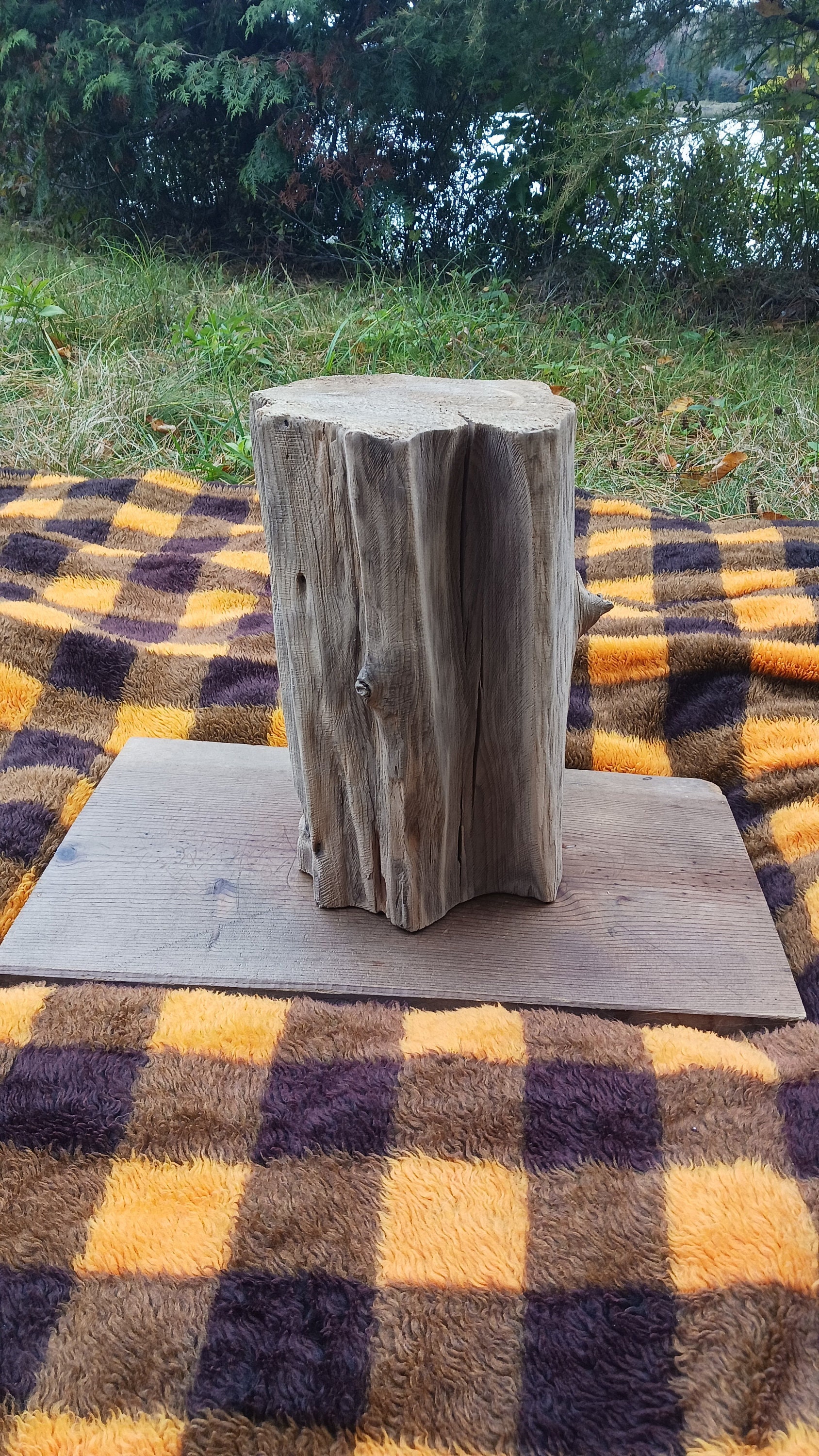 Driftwood Stump Riser Cedar Deadwood Craft Log Display - Etsy
