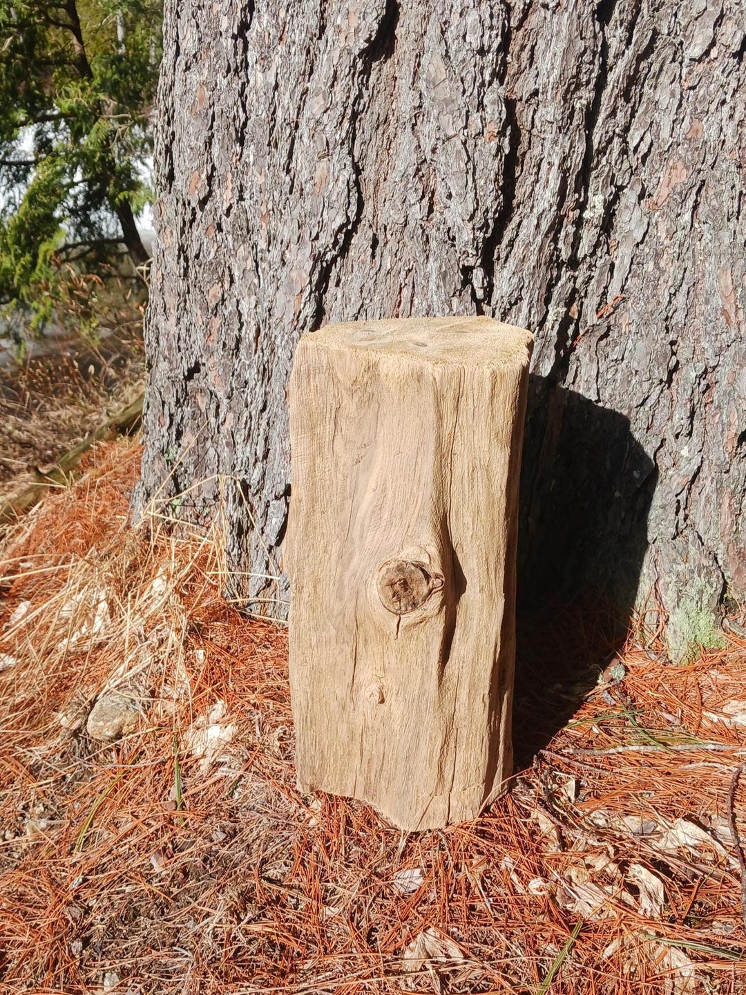 Driftwood Stump Riser, Cedar Deadwood Craft Log Display, Unfinished ...