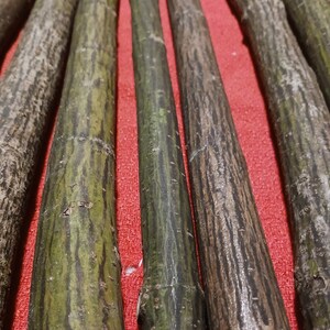 Striped Maple Wooden Poles. 12 Pieces of Natural Tree Branches With ...