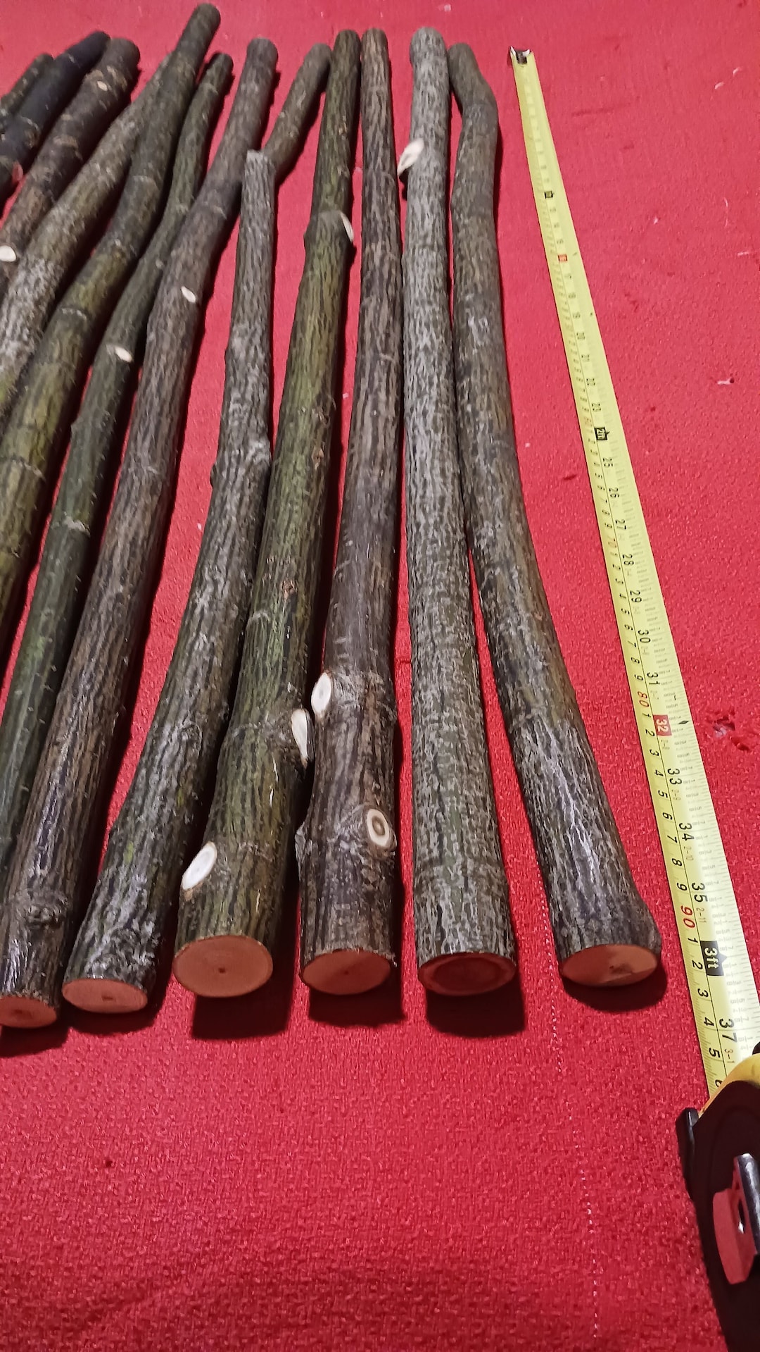 Striped Maple Wooden Poles. 12 Pieces of Natural Tree Branches With ...