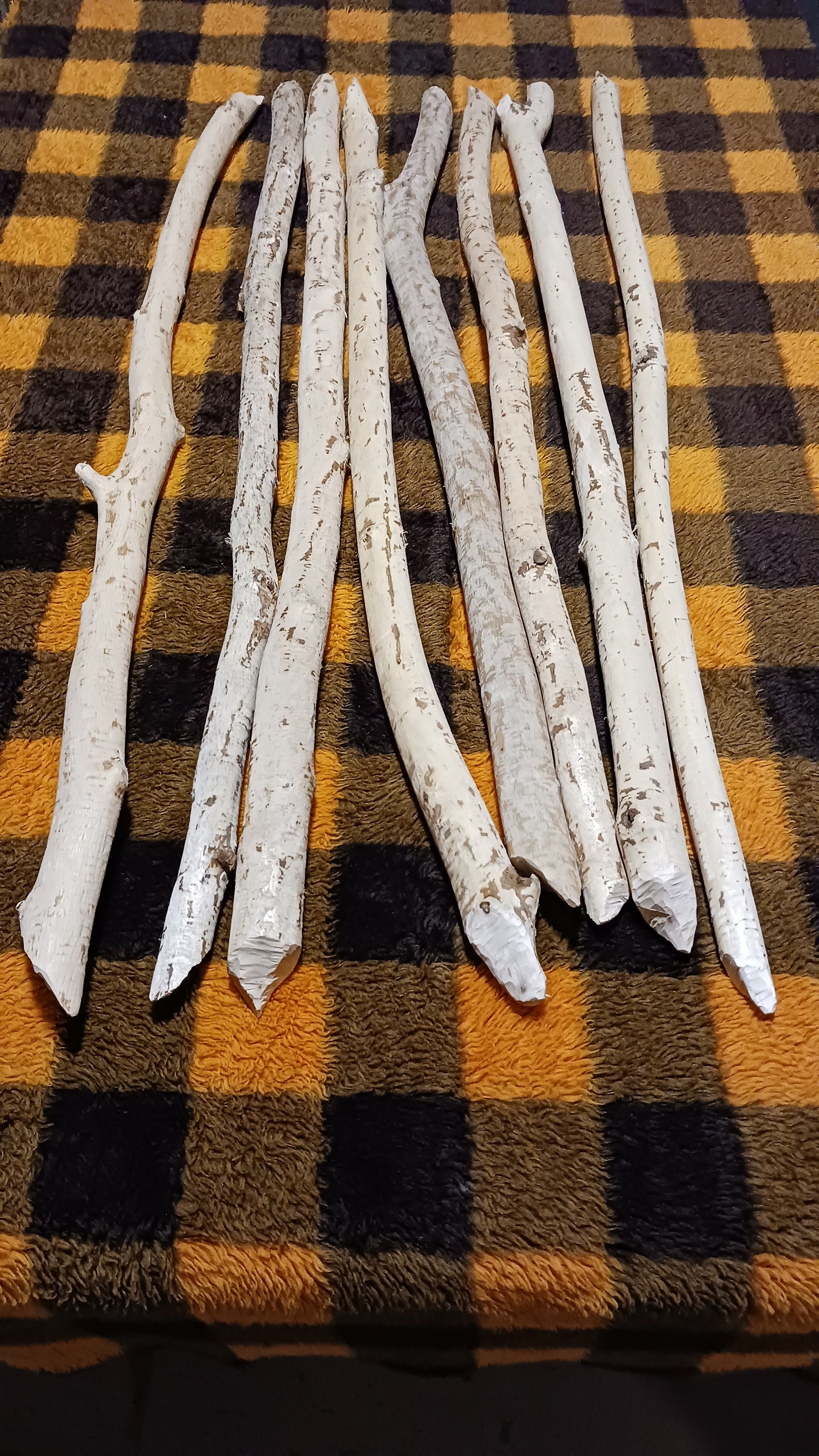 Real Beaver Chewed Branches. 8 Long Poles of Natural Wood Sticks for ...