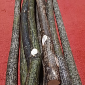 Striped Maple Wooden Poles. 12 Pieces of Natural Tree Branches With ...