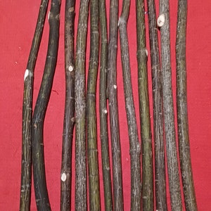 Striped Maple Wooden Poles. 12 Pieces of Natural Tree Branches With ...