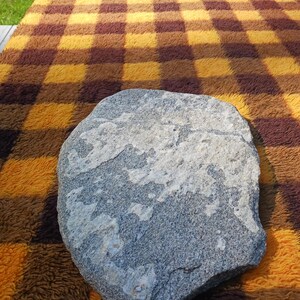 Large Raw Flagstone Natural . Unique Find Flat River Stone From ...