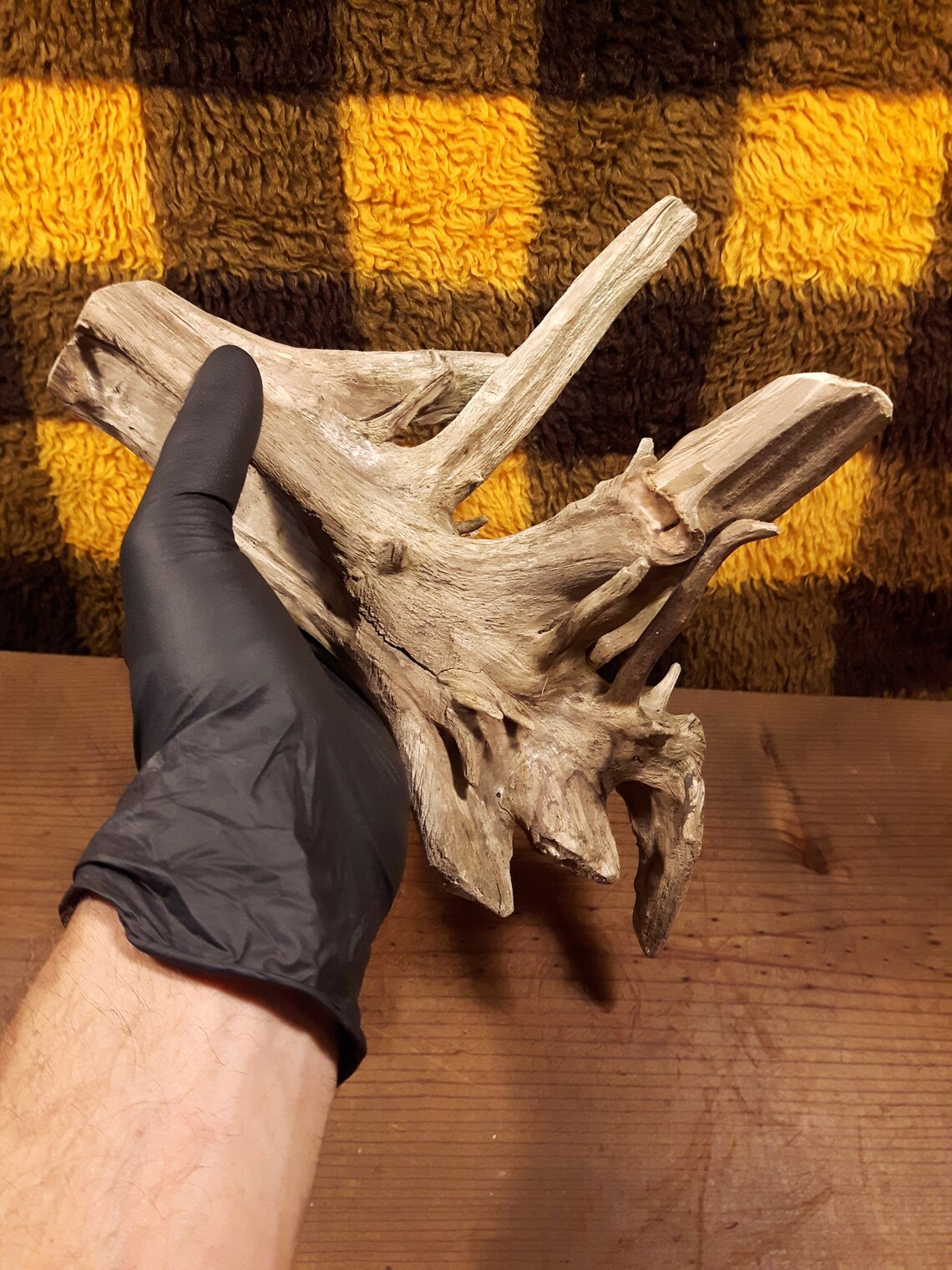 Self-standing Cedar Driftwood Stump Riser Display Unfinished - Etsy