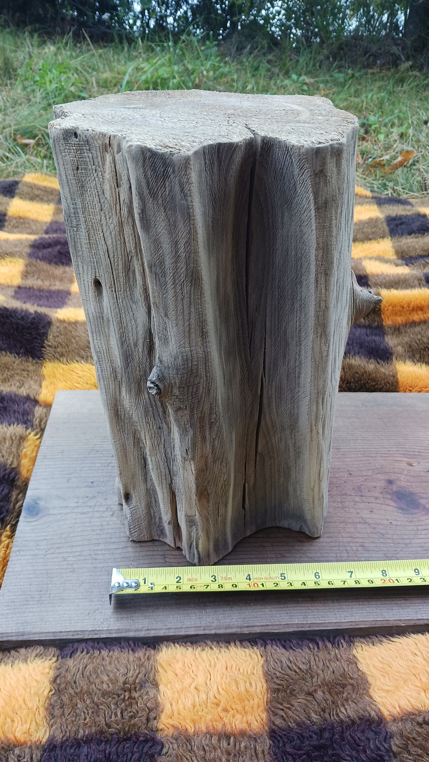 Driftwood Stump Riser Cedar Deadwood Craft Log Display - Etsy