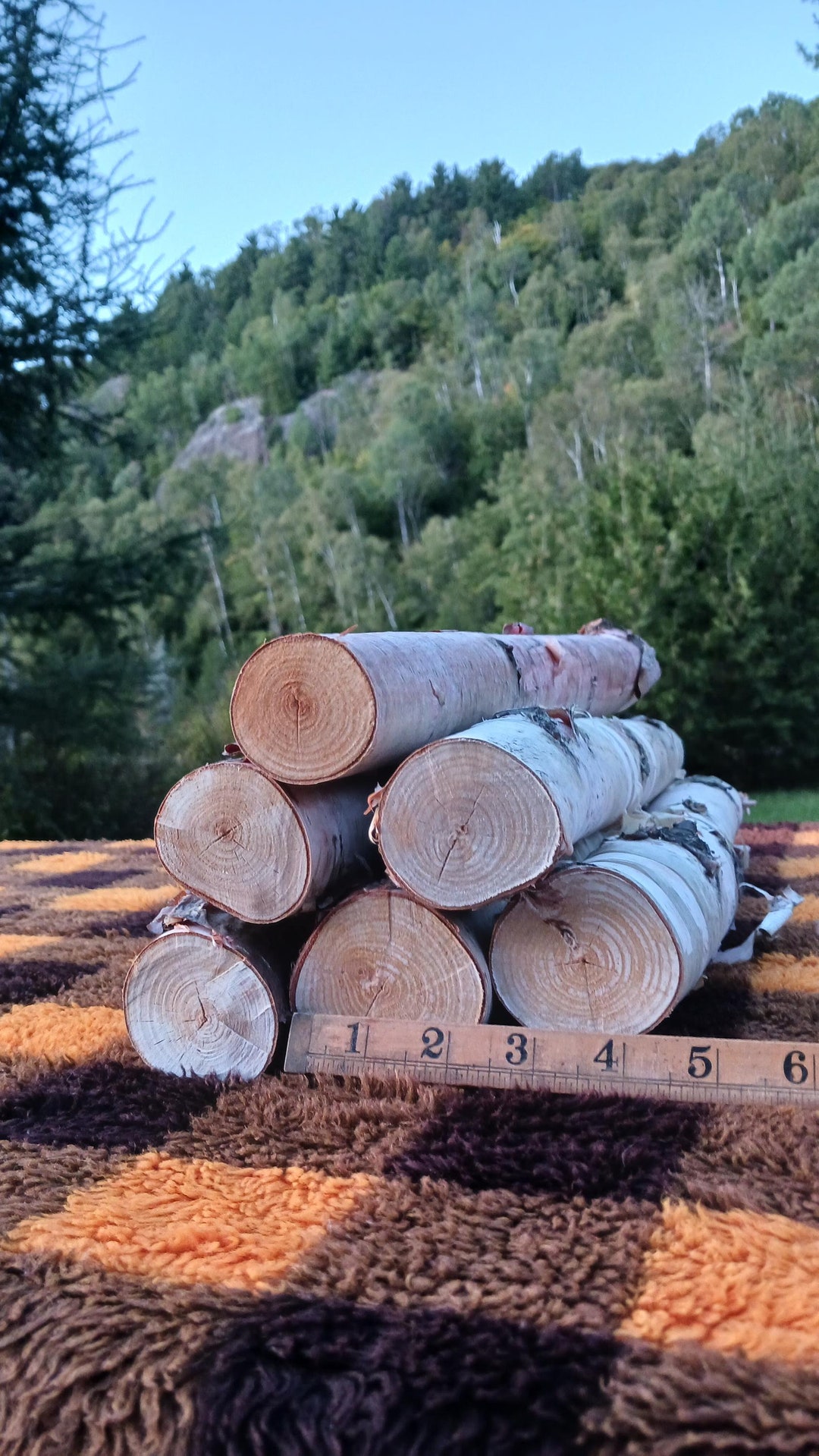 White Birch Logs 16 Inches. 6 Pieces of Natural Tree Branches With ...
