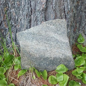 Large Raw Flagstone Natural . Unique Find Flat River Stone From ...