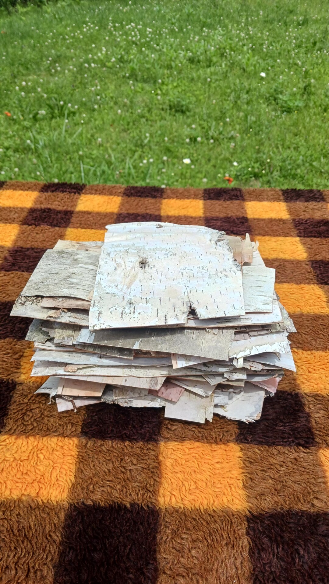 Real White Birch Bark Sheets. 485 Grams of Natural and Clean Bark ...