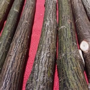 Striped Maple Wooden Poles. 12 Pieces of Natural Tree Branches With ...